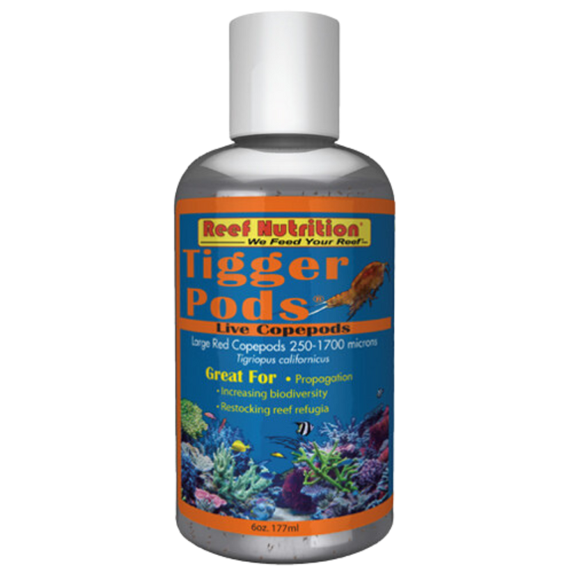 Buy Tigger Pods Live Copepods | Foxy Saltwater Tropicals